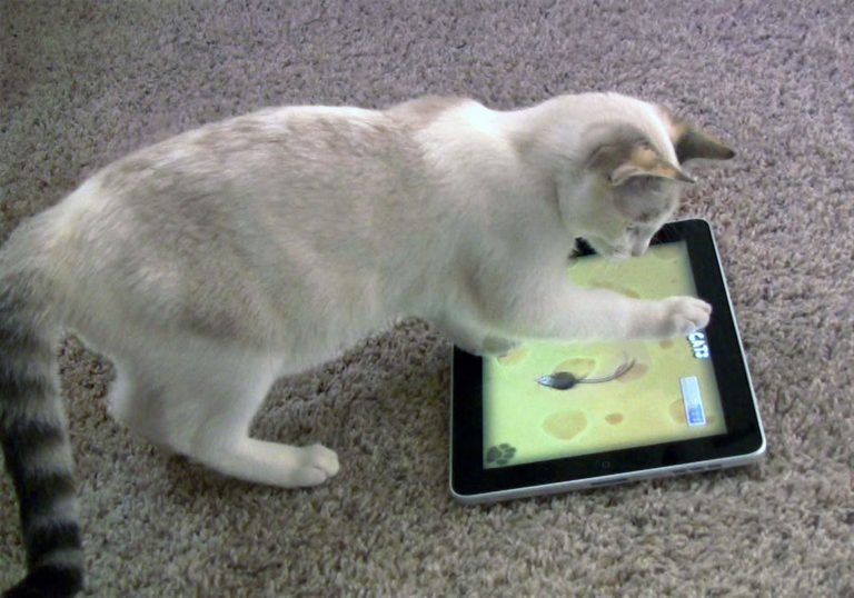 Apple’s iPads are still the very best tablets in the world – Apple Must