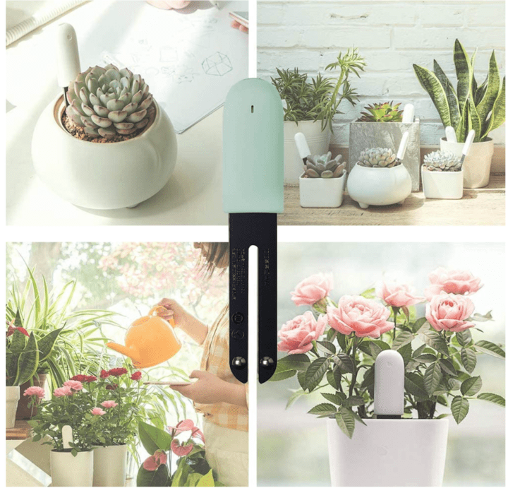 12+ great garden gadgets for an iPhone lockdown summer – Apple Must