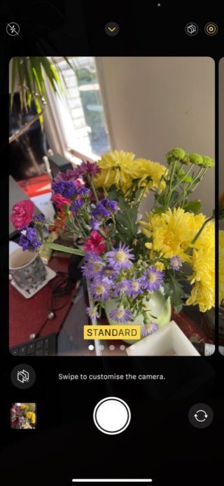 How to use Photographic Styles on iPhone for better photos – Apple Must
